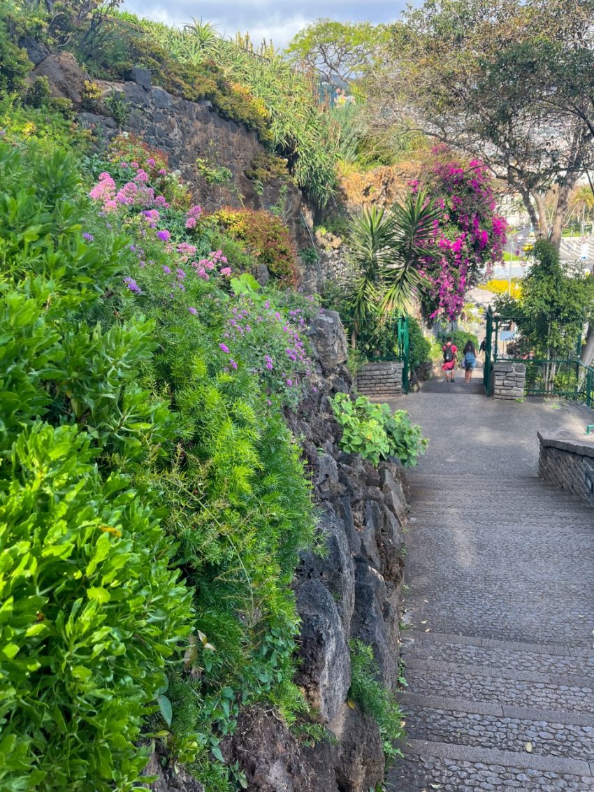 Exploring Madeira without a car: A detailed itinerary – Steffie Somewhere