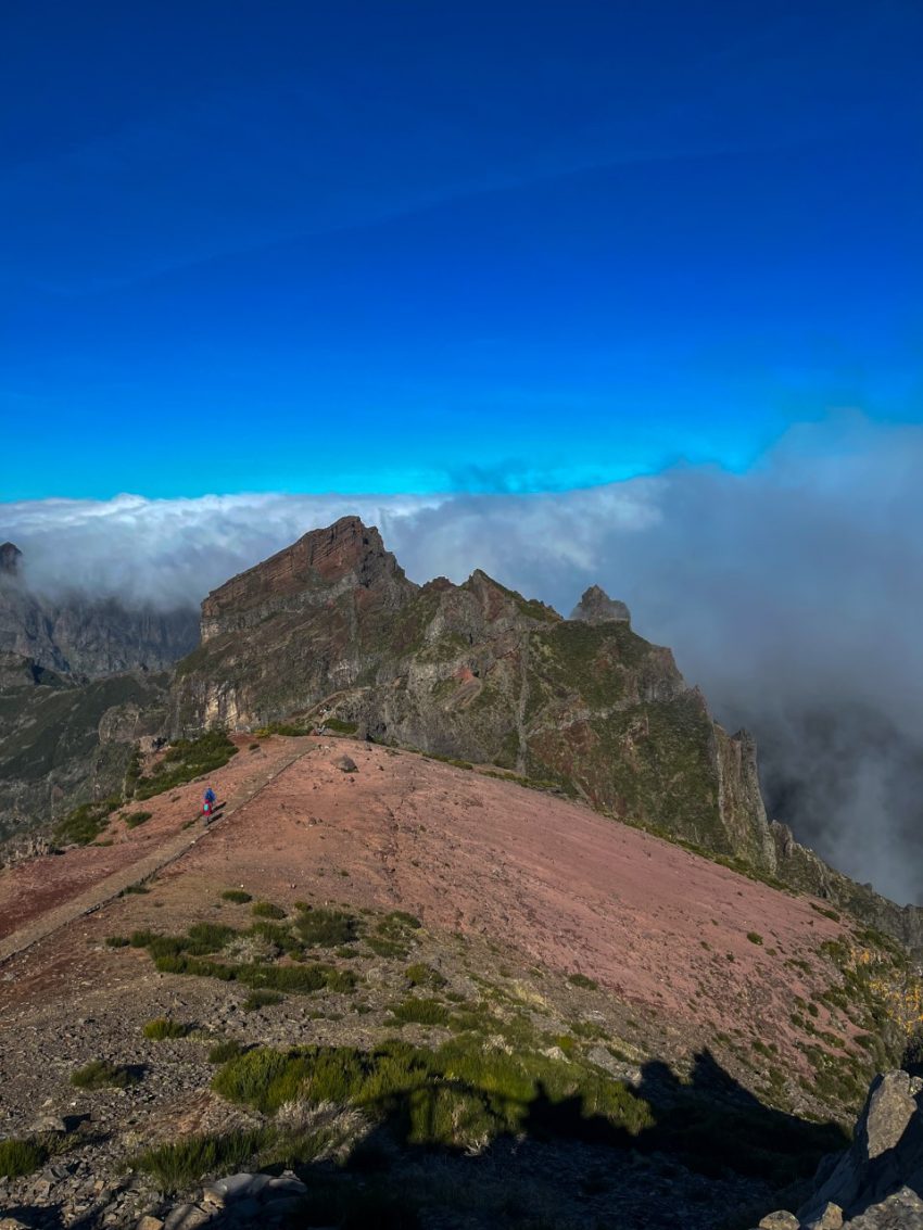 Exploring Madeira without a car: A detailed itinerary – Steffie Somewhere