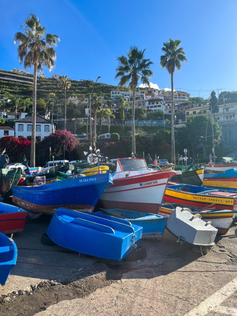 Exploring Madeira without a car: A detailed itinerary – Steffie Somewhere