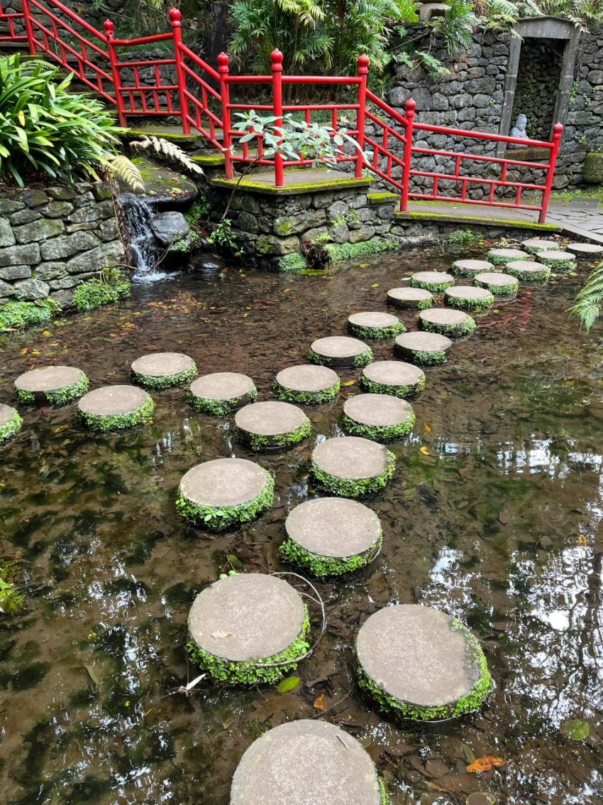 Exploring Madeira without a car: A detailed itinerary – Steffie Somewhere