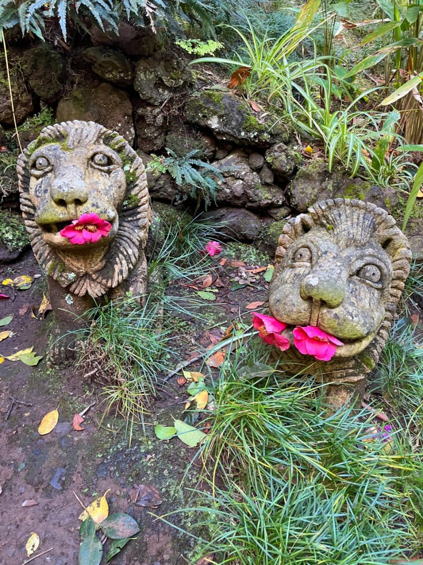 Exploring Madeira without a car: A detailed itinerary – Steffie Somewhere