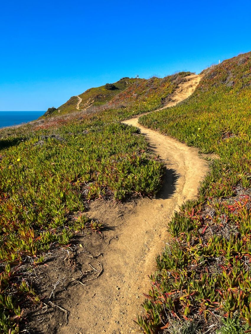 Exploring Madeira without a car: A detailed itinerary – Steffie Somewhere